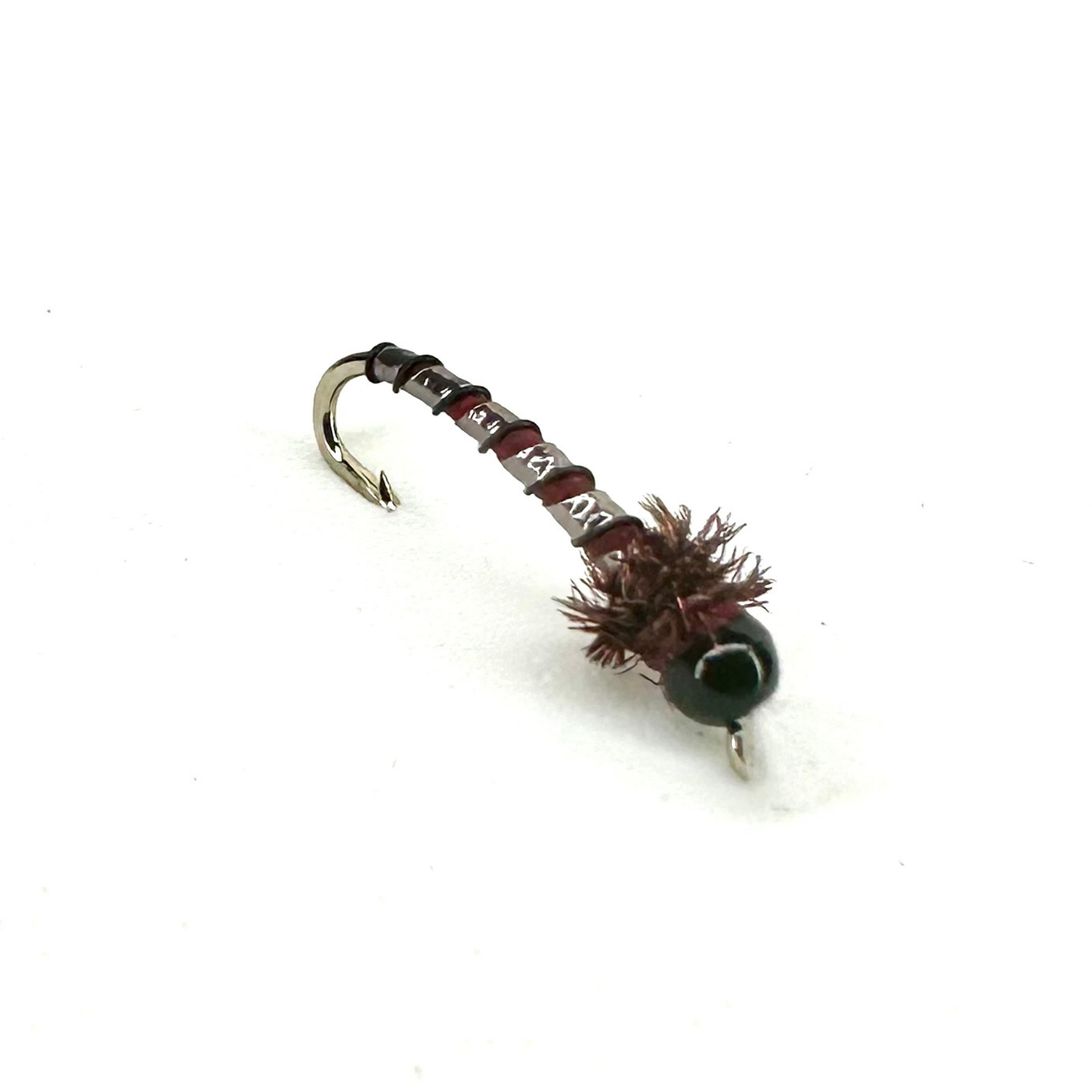 ASB Pupa, Tungsten BH – MylesHigh.Flyfishing